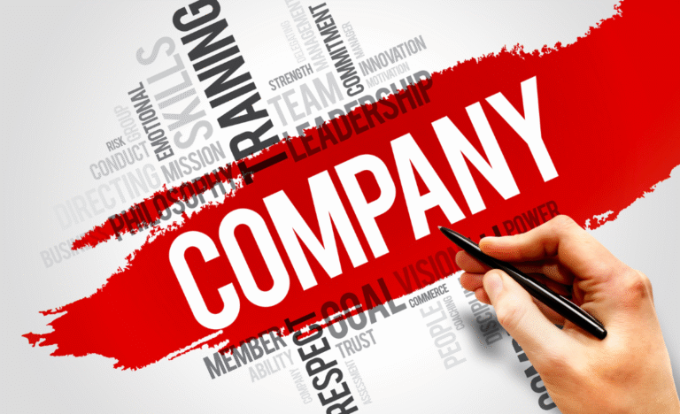 Different Types of Companies in India | Business Structures Explained ...